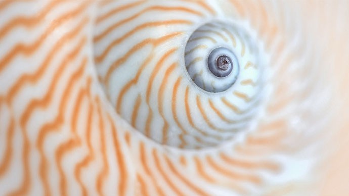 Want Higher Returns with Less Volatility? | Bernstein