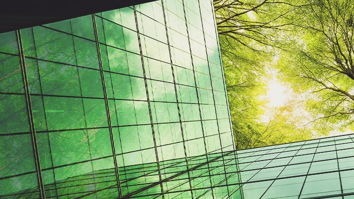How Financial Stocks Level the Field | Bernstein