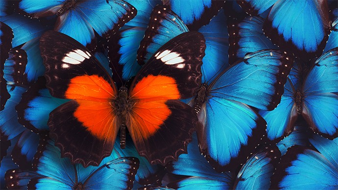 Why Lilly Ledbetter Said No | Bernstein