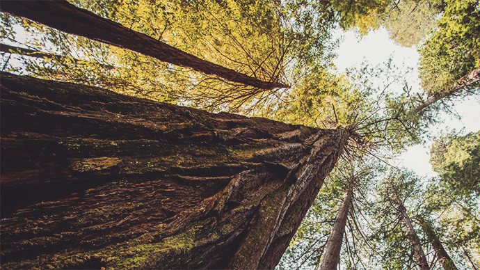 Will Earnings Growth Be Rewarded in 2024? | Bernstein