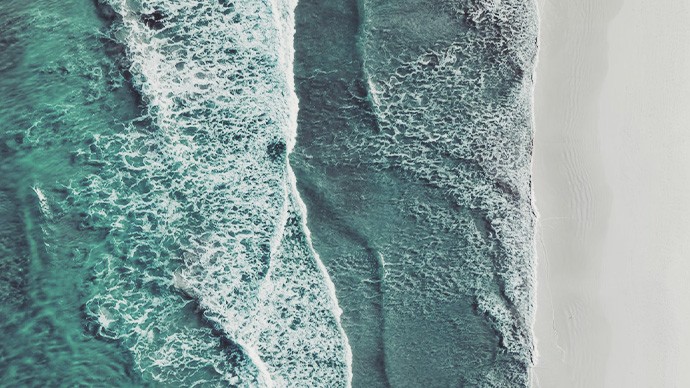 Renewable Energy Is Economics, Not Politics | Bernstein