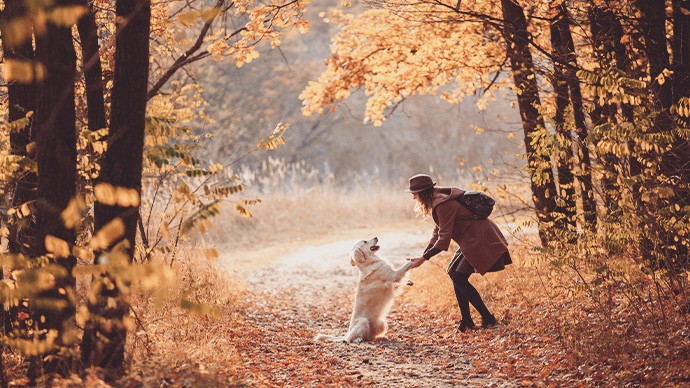 Why Rolling GRATs Nimbly Transfer Wealth | Bernstein