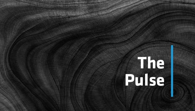 Assessing AI's Transformative Potential | Bernstein